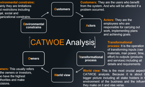 Easily learn CATWOE Analysis in a glance » SKILLTECS