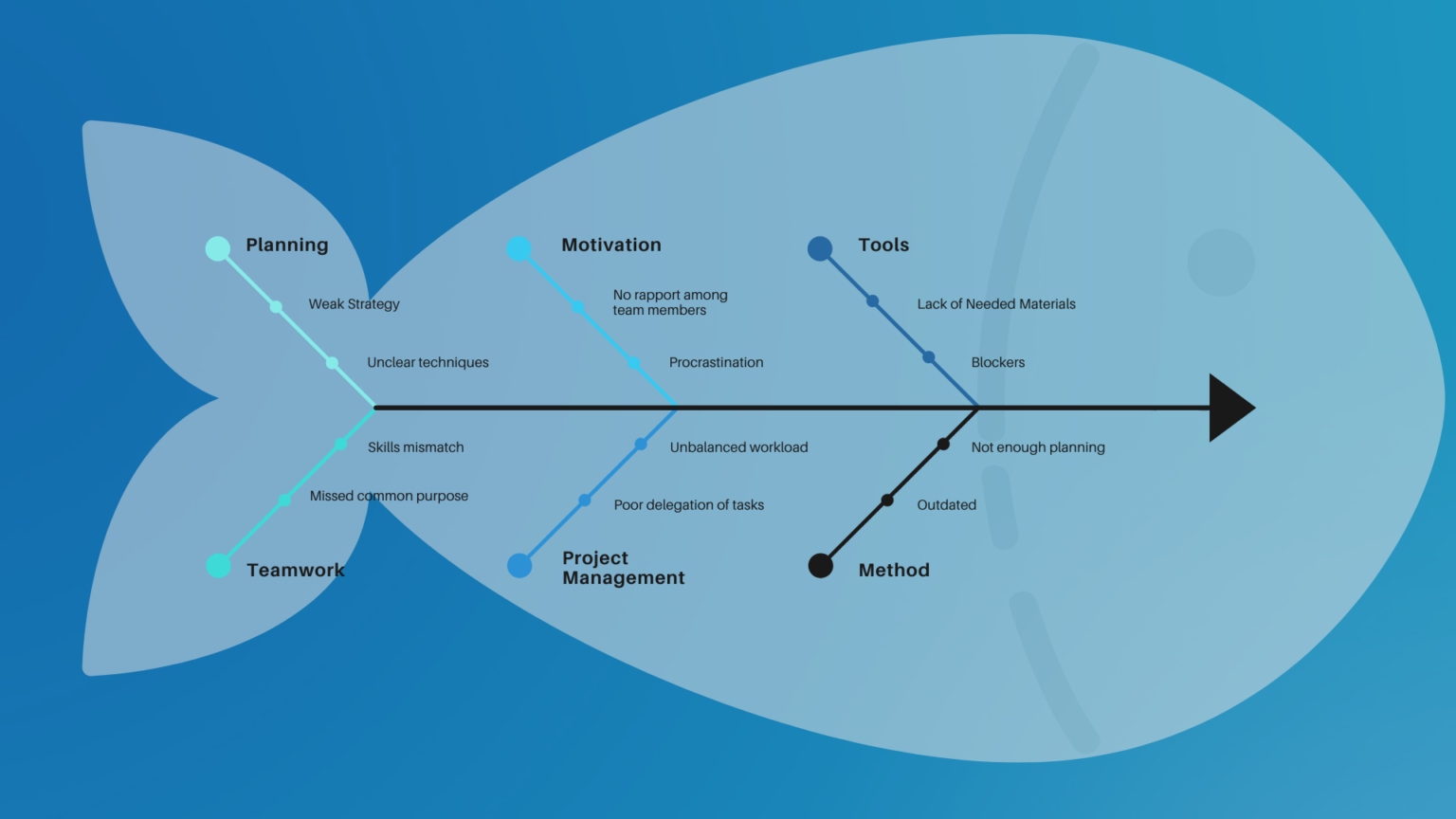 What is “Fish Bone Diagram” and how to implement it? » SKILLTECS