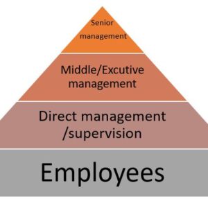 Organizing is the building block for successful organizations » SKILLTECS